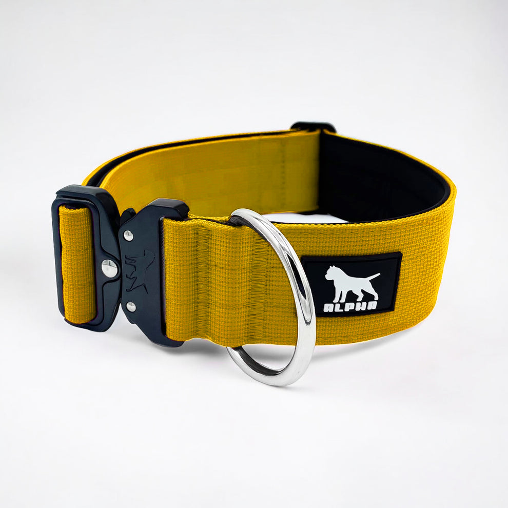 5cm Tactical Collar - Yellow – AlphaCanineGear