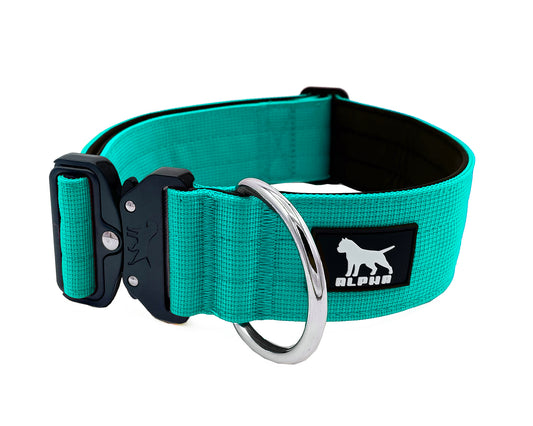 Tactical Collar - Cyan